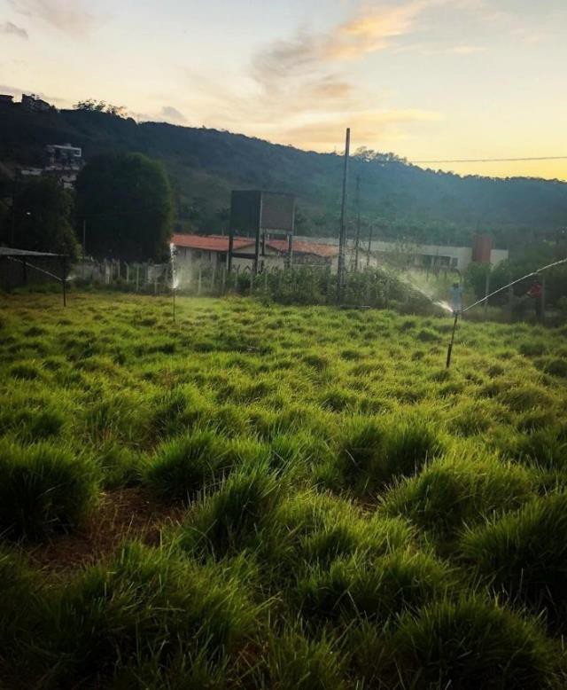 Laboratório de Caprinocultura e Ovinocultura — UNIVERSIDADE FEDERAL DA ...